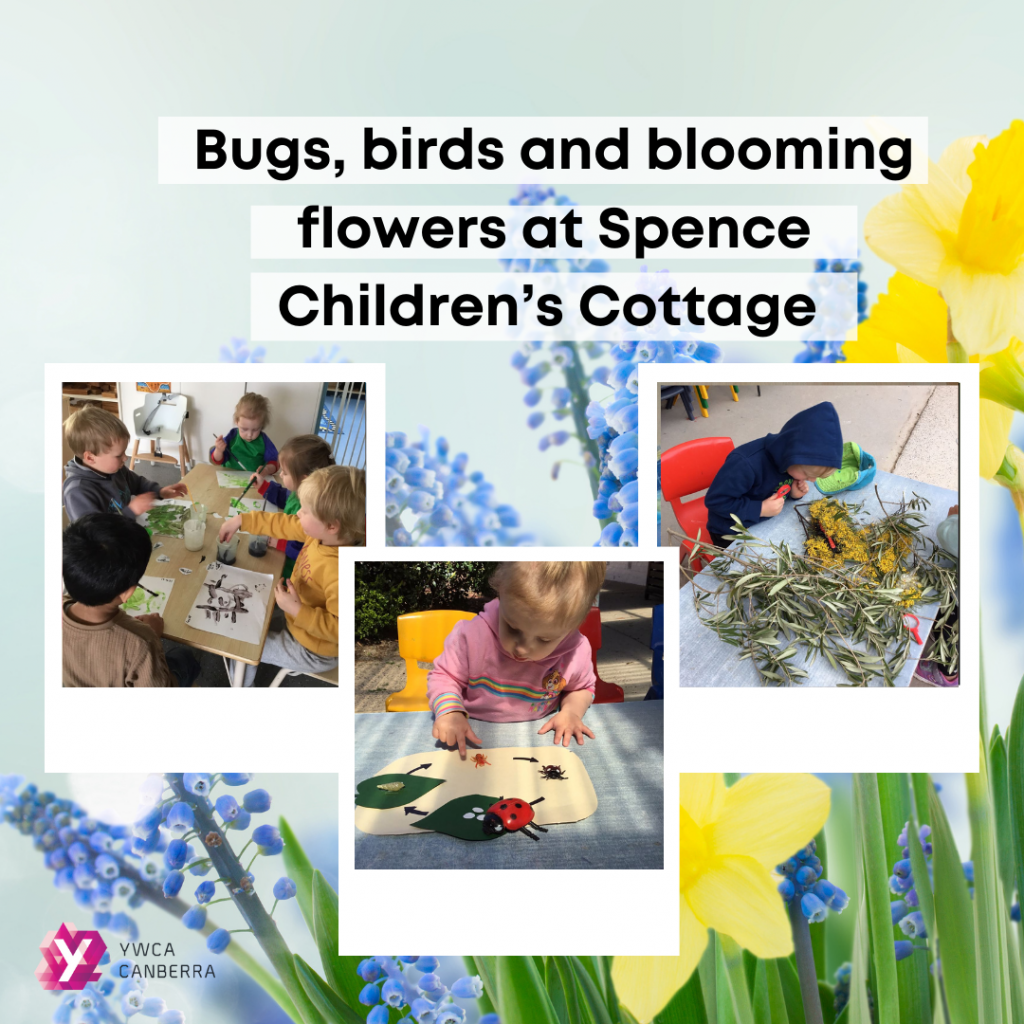 Bugs, birds and blooming flowers at Spence Children’s Cottage – YWCA ...