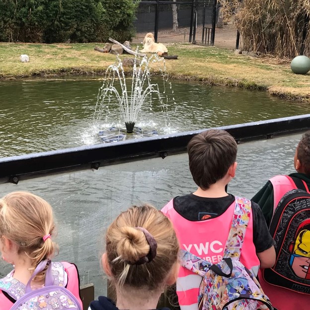 Our Top 5 Reasons why you should book your child into YWCA Canberra ...